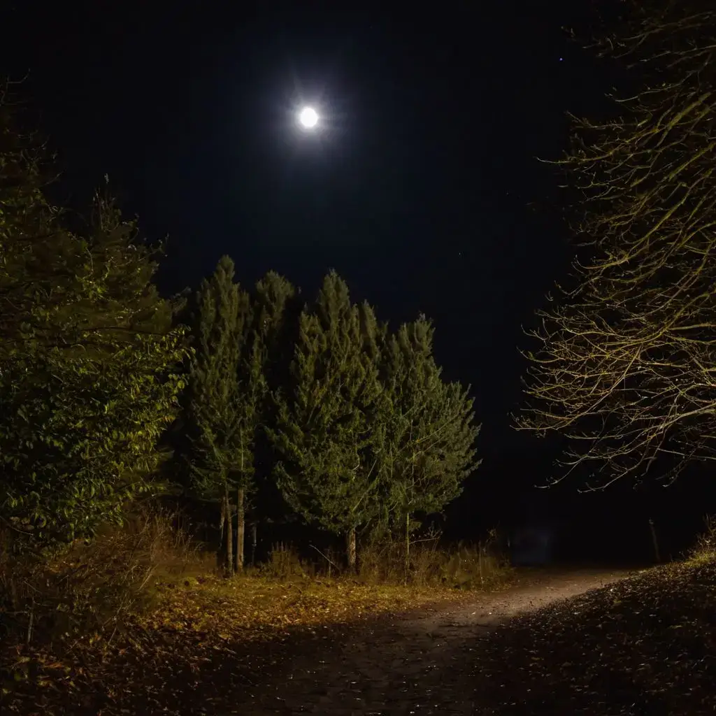 How the Moon Influences Ghost Hunting - A Night Among Ghosts